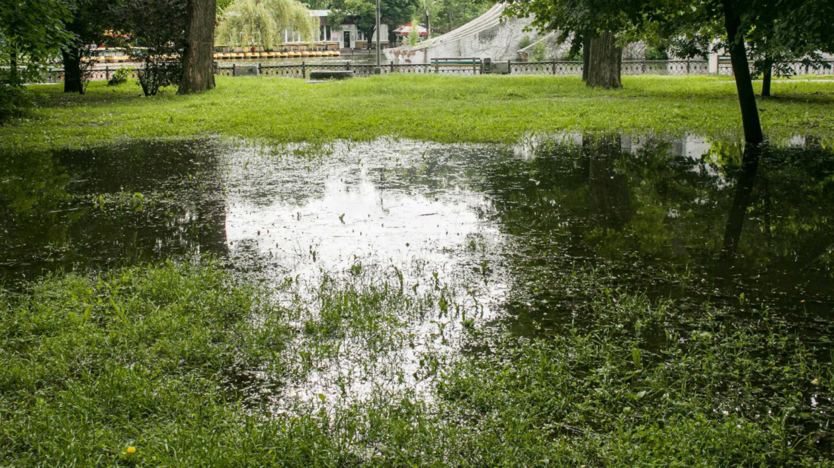 HOME - Streamline Environmental & Drainage