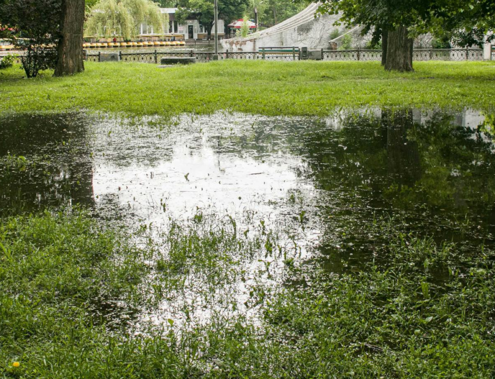 Landscaping Over Septic Drain Fields - Streamline Environmental & Drainage